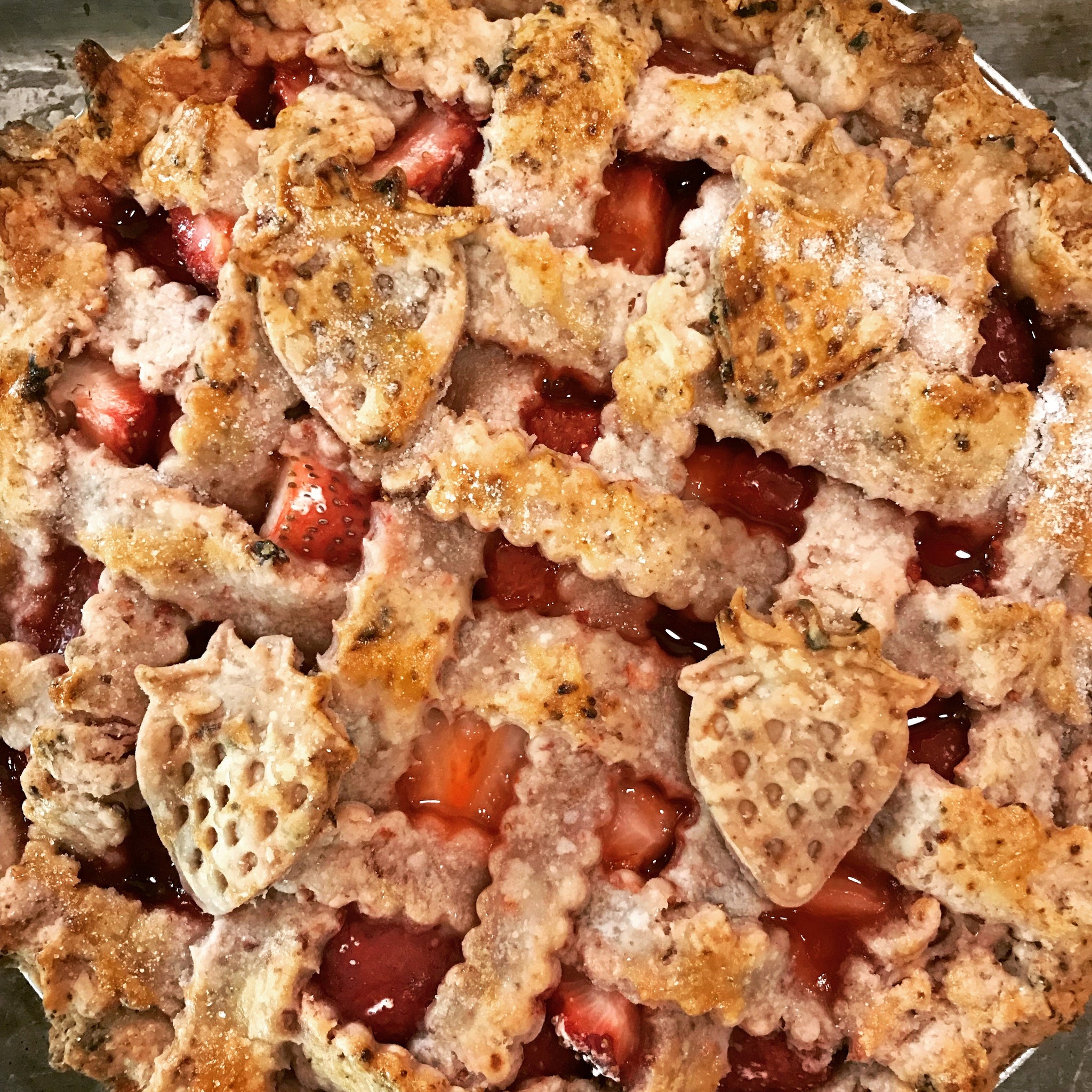 Miss Ellie – I only have pies for you